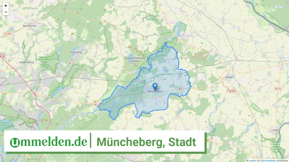 Ummelden in Müncheberg, Stadt - 15374